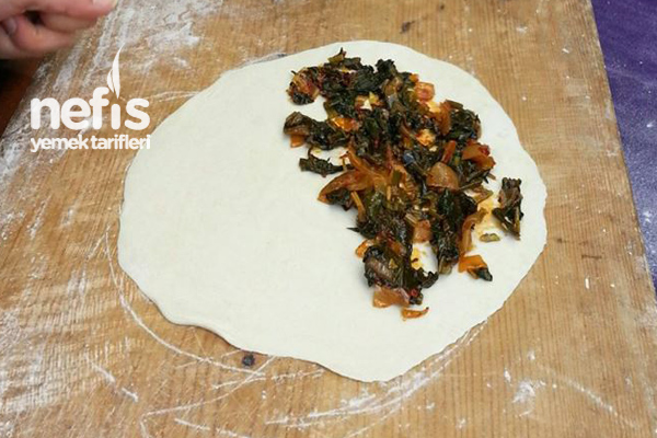 Sacda Ispanaklı Börek - Nefis Yemek Tarifleri