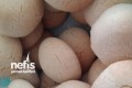 3 Malzemeli Kurabiye - Nefis Yemek Tarifleri