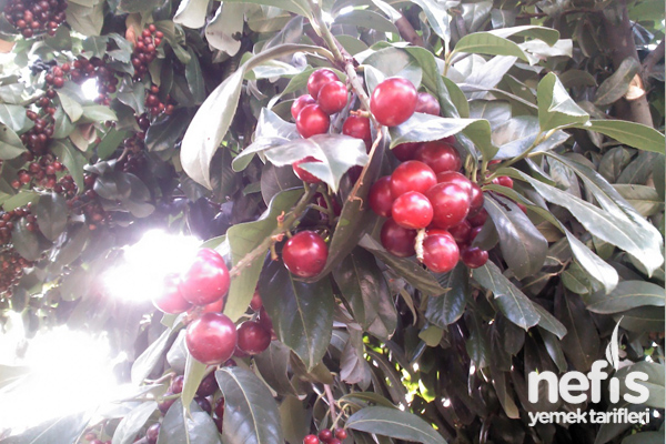 Karayemiş Reçeli - Nefis Yemek Tarifleri
