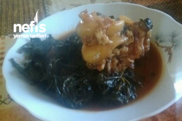 Molehiya (Kıbrısa Özgü) - Nefis Yemek Tarifleri