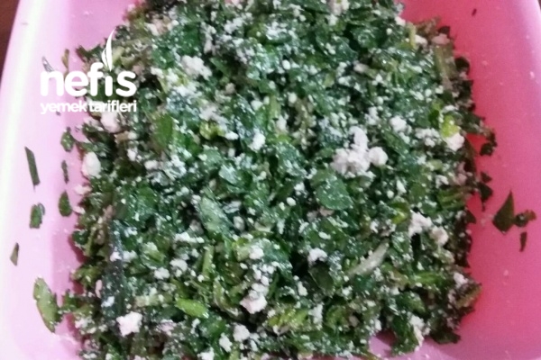 Ispanak Böreği Tarifi - Nefis Yemek Tarifleri