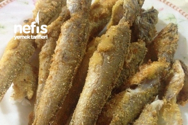 Mezgit - Nefis Yemek Tarifleri