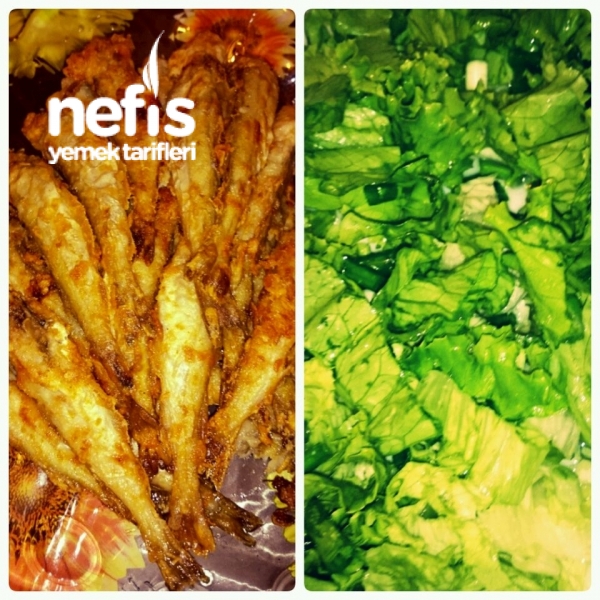 Mezgit Balığı - Nefis Yemek Tarifleri