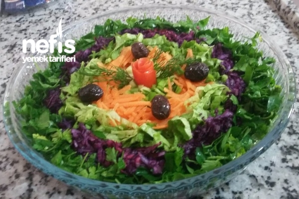 Mevsim Salatası - Nefis Yemek Tarifleri - #1515063