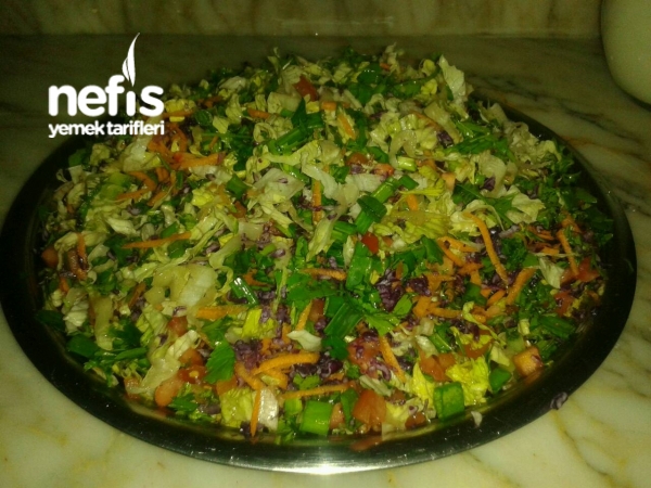Renkli Mevsim Salatası - Nefis Yemek Tarifleri