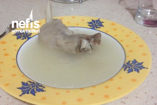 Kuzu Paça Çorbası - Nefis Yemek Tarifleri