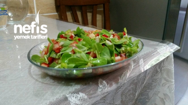 Semiz Otu Salatası Tarifi - Nefis Yemek Tarifleri - #2071309