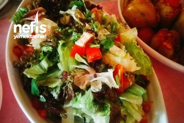 Mevsim Salatası - Nefis Yemek Tarifleri - #2362413