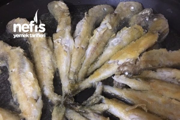 Fırında Mezgit Fileto (Videolu) - Nefis Yemek Tarifleri