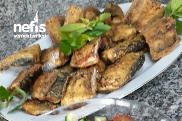 Palamut Balık - Nefis Yemek Tarifleri