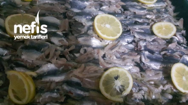 Tepside Hamsi - Nefis Yemek Tarifleri