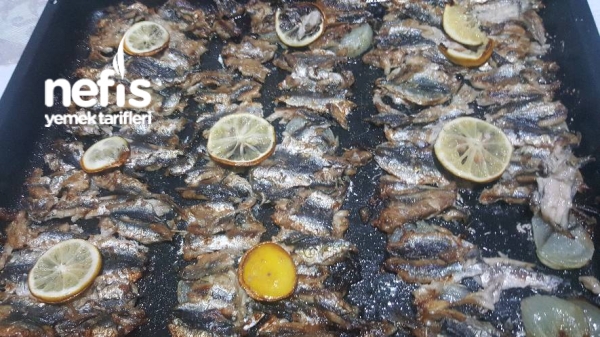 Tepside Hamsi - Nefis Yemek Tarifleri