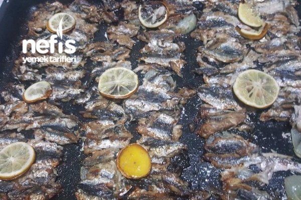 Tepside Hamsi - Nefis Yemek Tarifleri