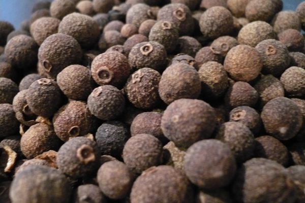 Yenibahar Nedir? Hangi Yemeklerde Kullanılır? Faydaları Nelerdir ...