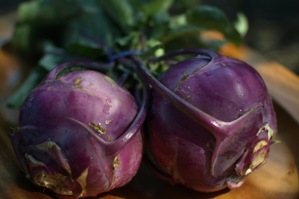 Alabaş Turp Nedir? Faydaları - Nefis Yemek Tarifleri