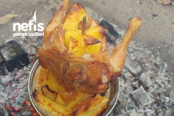 Teneke Tavuk - Nefis Yemek Tarifleri