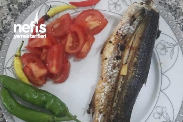 Kefal Balığı – Oltadan Sofraya Hakkında Merak Edilen Her Şey - Nefis ...