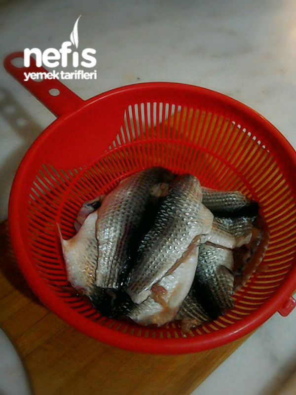 Kefal Balık - Nefis Yemek Tarifleri