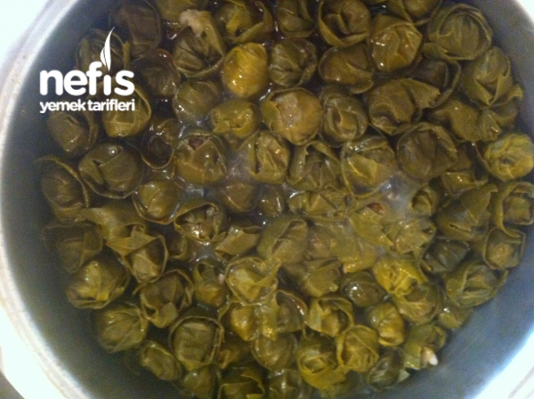 Kolay Sarma (Asma Yaprağından) - Nefis Yemek Tarifleri