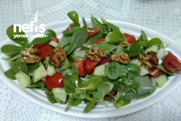 Semiz Salatası - Nefis Yemek Tarifleri