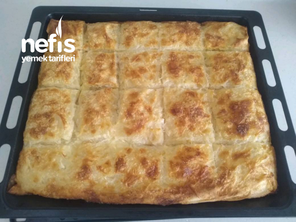 Tepsi Böreği - Nefis Yemek Tarifleri - #4846979