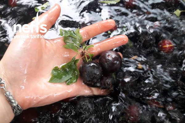 Komposto - Nefis Yemek Tarifleri - #4942679