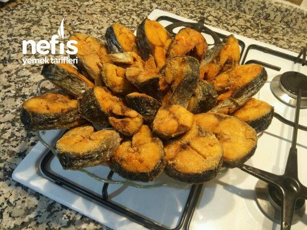 Palamut Tava - Nefis Yemek Tarifleri - #5035328