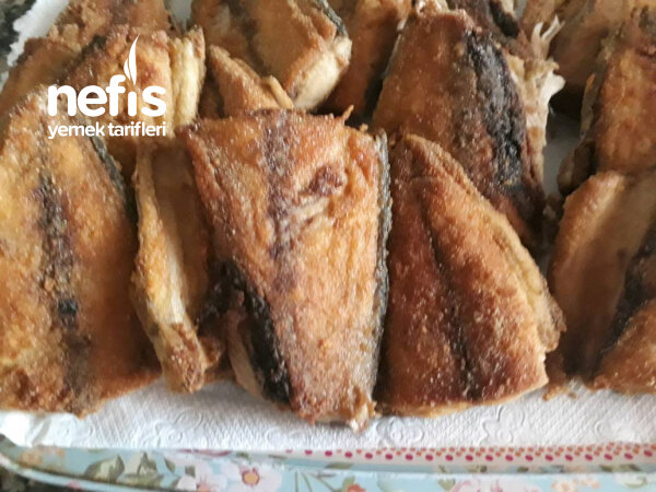 Tavada Palamut - Nefis Yemek Tarifleri - #5092349