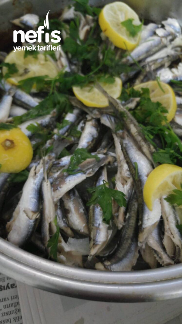 Hamsi Buğlama - Nefis Yemek Tarifleri - #5158699