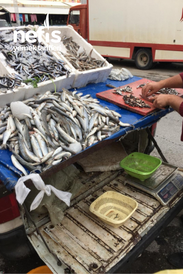 Teremyağlı Hamsili Pilav - Nefis Yemek Tarifleri - #5356341