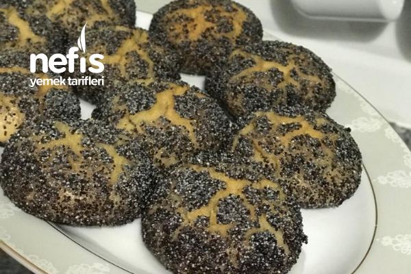 Haşhaşlı Tatlı - Nefis Yemek Tarifleri - #5536375