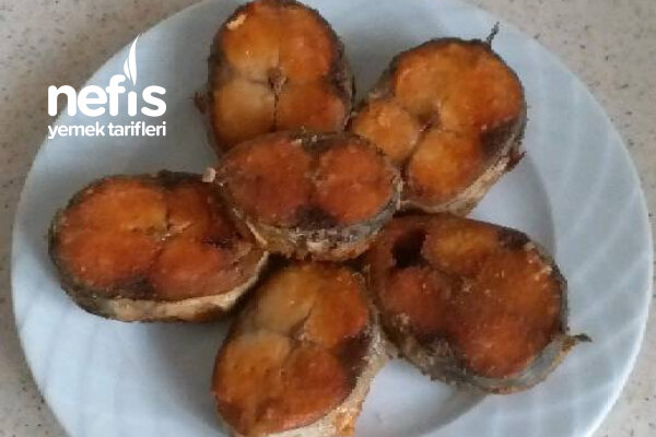 Palamut (Tavada) - Nefis Yemek Tarifleri