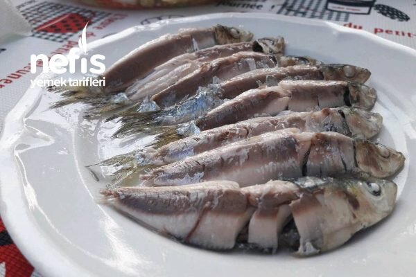 Sardalya - Nefis Yemek Tarifleri