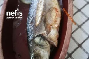 Levrek Nasıl Pişirilir? Levrek Balığı Hakkında Her Şey - Nefis Yemek ...