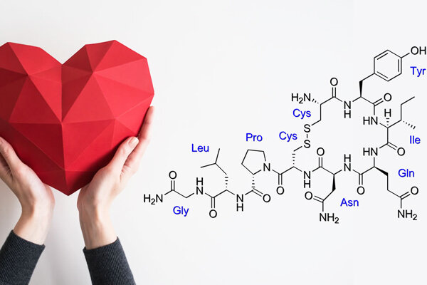 Oksitosin Hormonunu Artıran 7 Doğal Besin - Nefis Yemek Tarifleri