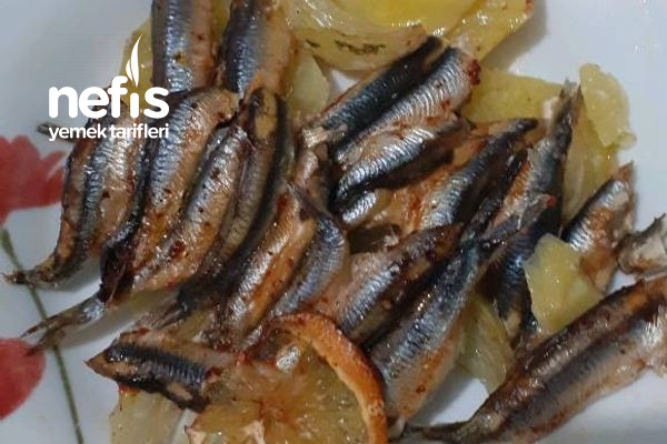 Balık Kaç Kalori? Pişirme Çeşitlerine Göre Balık Kalori Değerleri ...