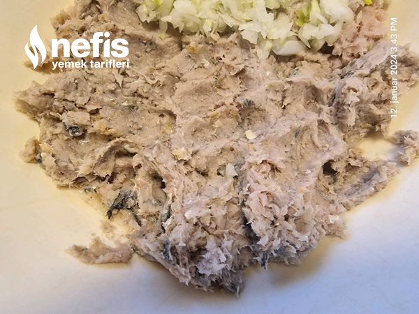 Tirsi Balığı Köftesi - Nefis Yemek Tarifleri