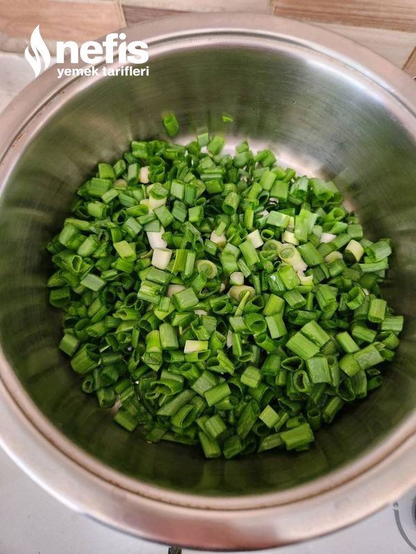 Taze Soğan Çorbası - Nefis Yemek Tarifleri - #11863452