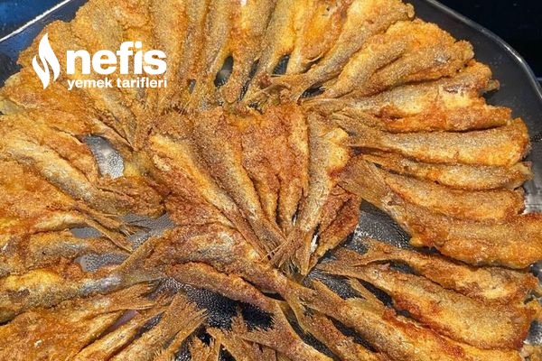 Sardalya Tava - Nefis Yemek Tarifleri - #346088