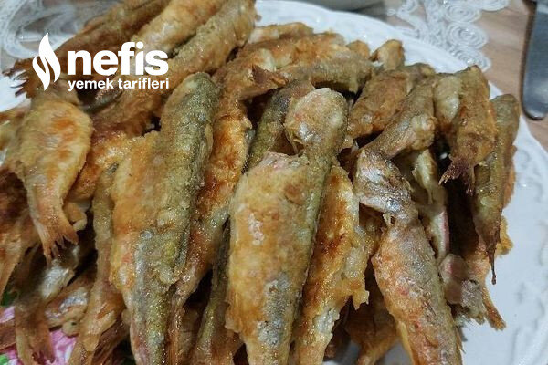 Balık En İyi Hangi Tavada, Nasıl Pişer? - Nefis Yemek Tarifleri