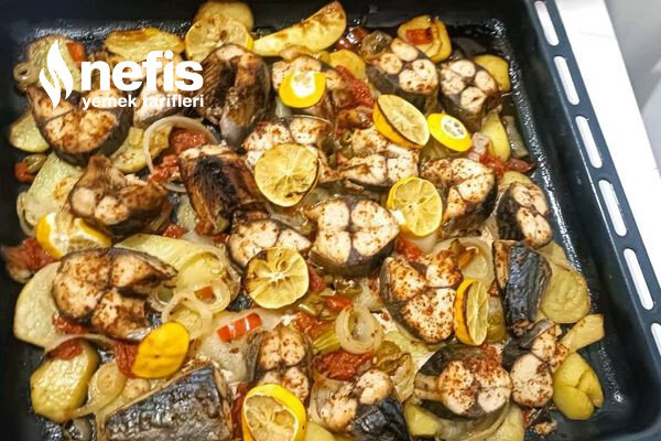 Beş Dakikada Lezzeti Nefis Palamut Tarifi - Nefis Yemek Tarifleri