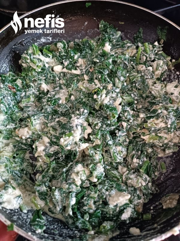 Ispanaklı Peynirli Rulo Lazanya - Nefis Yemek Tarifleri