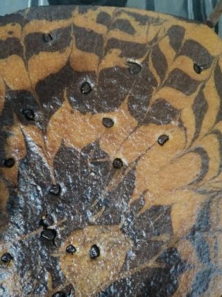 Zebra Kek Tarifi Videosu - Nefis Yemek Tarifleri